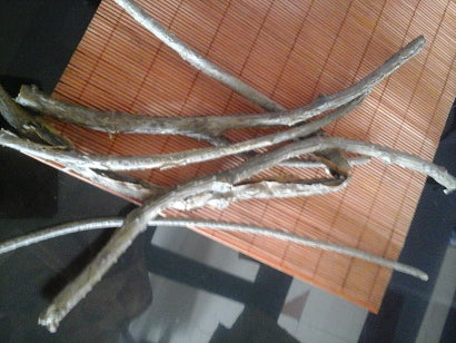 Giloy Stems (On Neem Tree) (600 gm) – Aranyaani Food Forest
